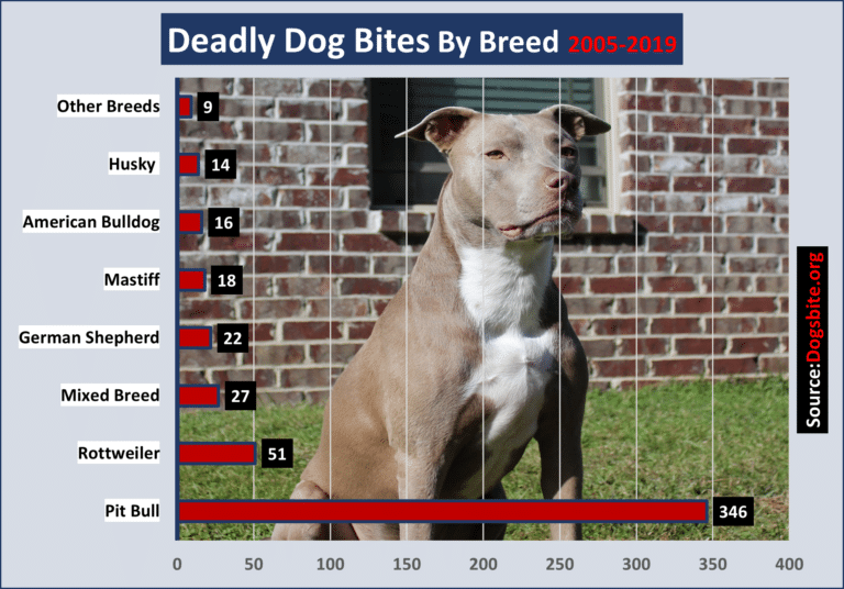 Dog Bite Statistics by Breed | Maison Law