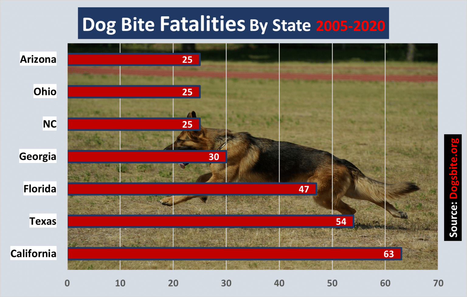 Dog Bite Statistics by Breed | Maison Law